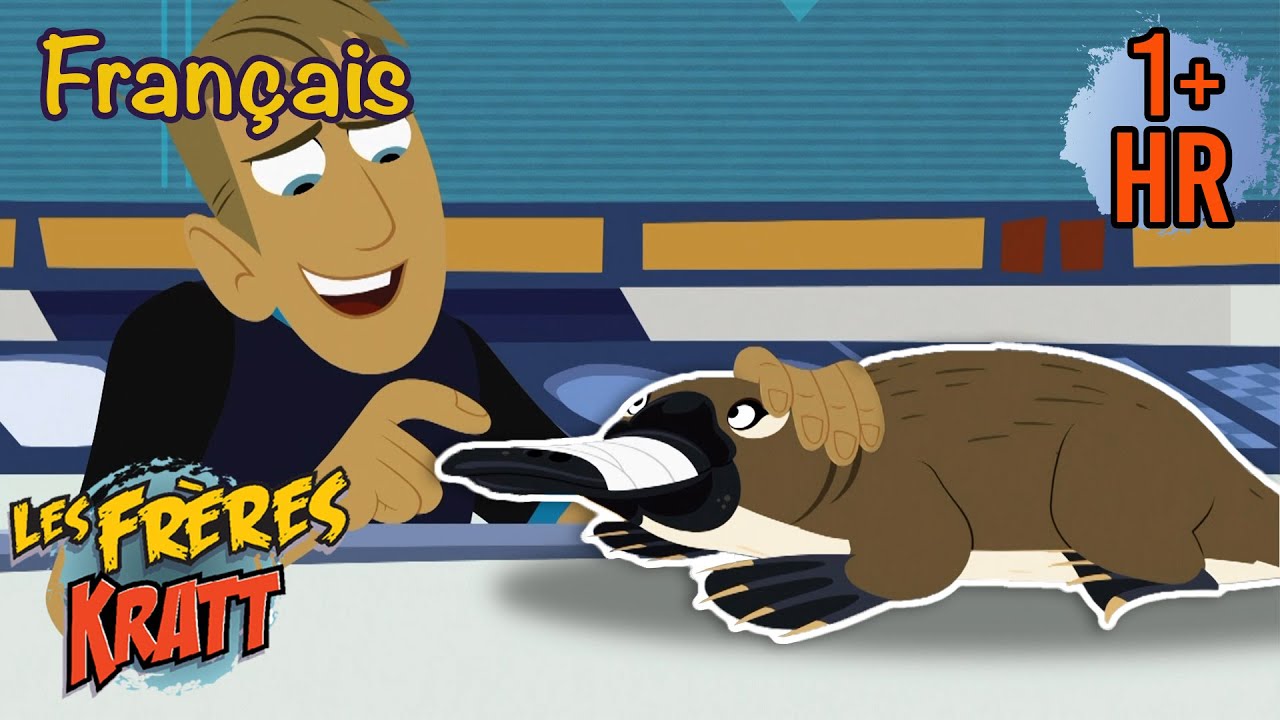 Les Ornithorynques Sont étranges épisodes Complets Les Frères Kratt