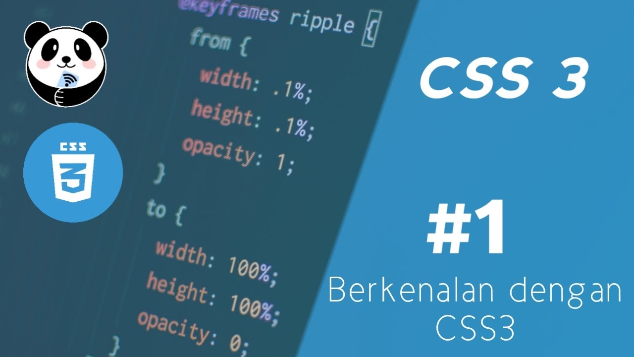 Perbedaan Css Dan Css3 Css 3 1 Youtube