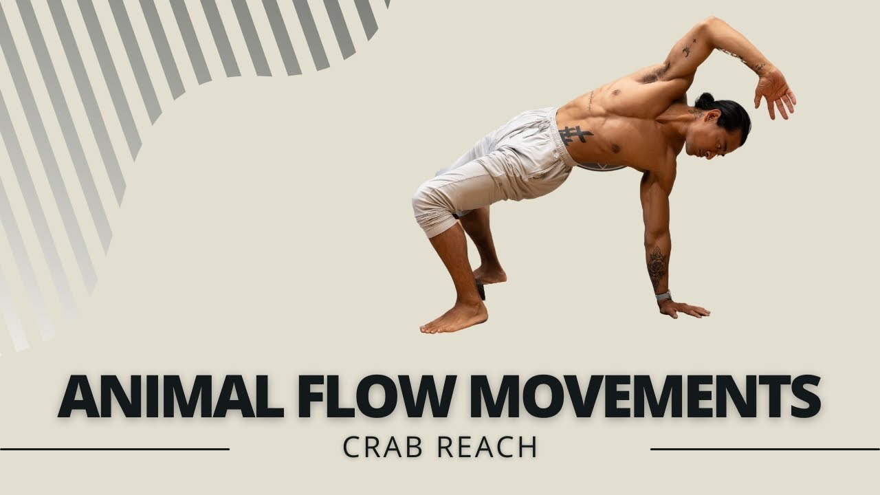 Crab Reach Tutorial Learn Animal Flow Primal Movements Bodyweight