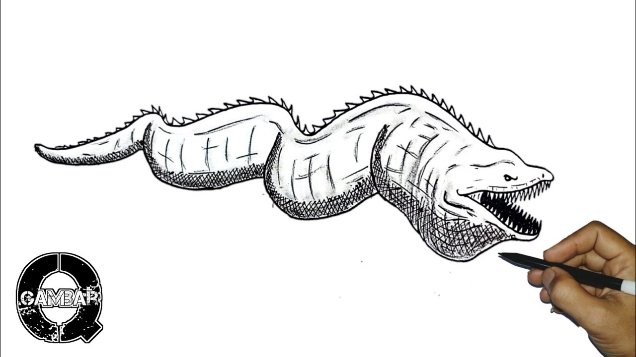 How To Draw Scp 3000 Youtube