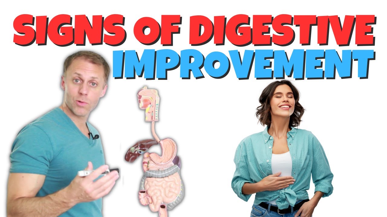 Signs You Re Improving Digestion Youtube