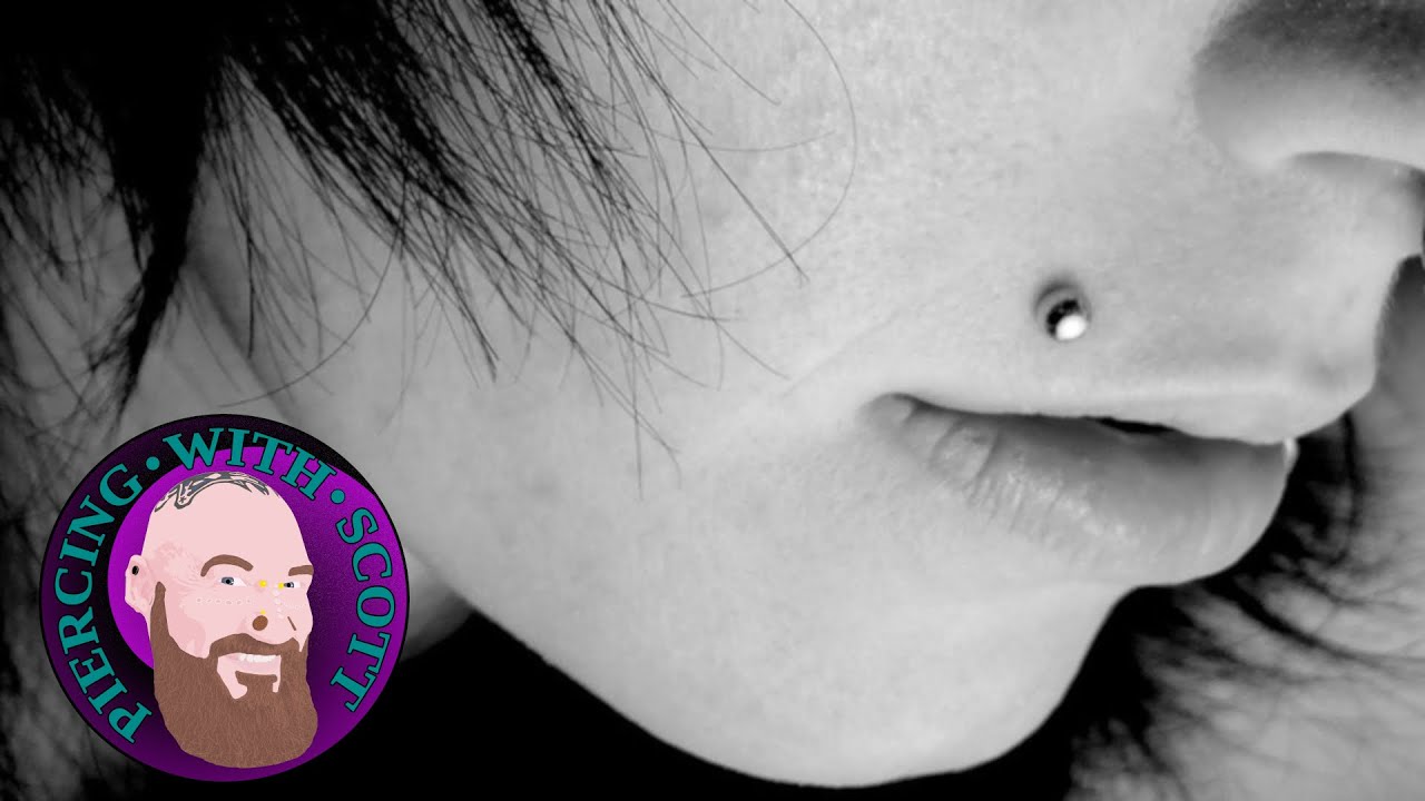 The Whole Truth Monroe Piercing Youtube