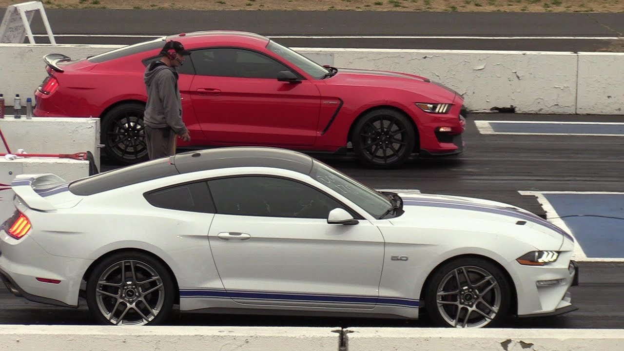 Gt350 Vs Gt Premium At Carmen Morse Blog