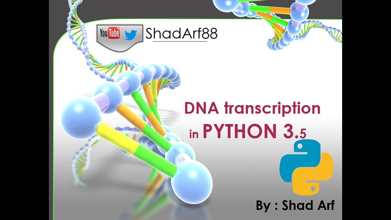 How To Transcribe Dna Using Python 3 5 Youtube