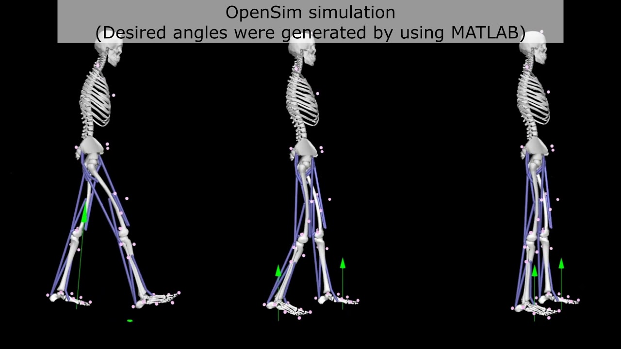 Opensim Simulation Youtube