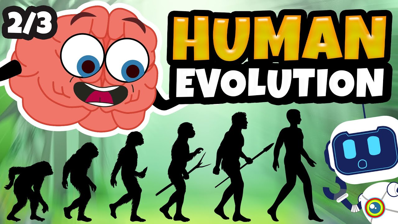 Human Evolution With Dr Iq A Journey Through Time Youtube