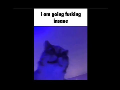 I M Going Insane Meme Youtube