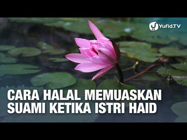 Solusi Tepat Cara Memuaskan Suami Saat Haid Yang Dijamin Ampuh