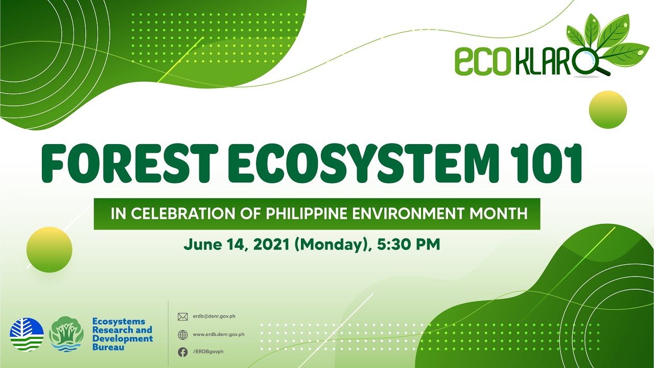 Ecoklaro Forest Ecosystem 101 Youtube