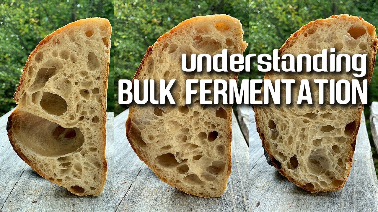How Does Bread Fermentation Work At Stanley Abbott Blog