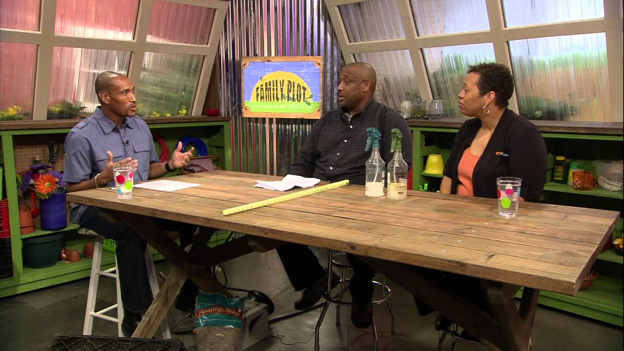 The Family Plot Oct 10 2013 Youtube
