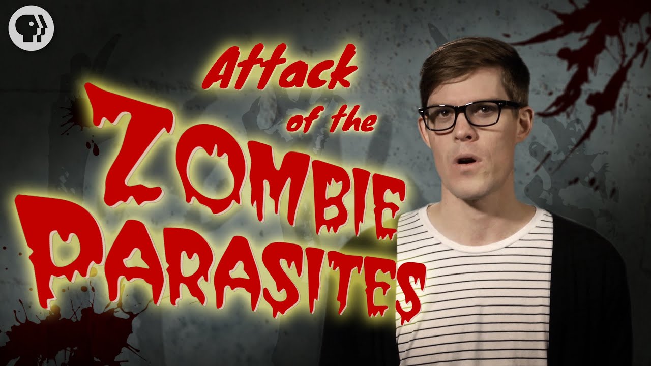 Attack Of The Zombie Parasites Youtube