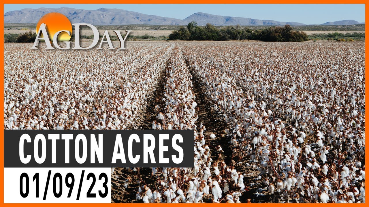 Agday 01 09 23 Youtube