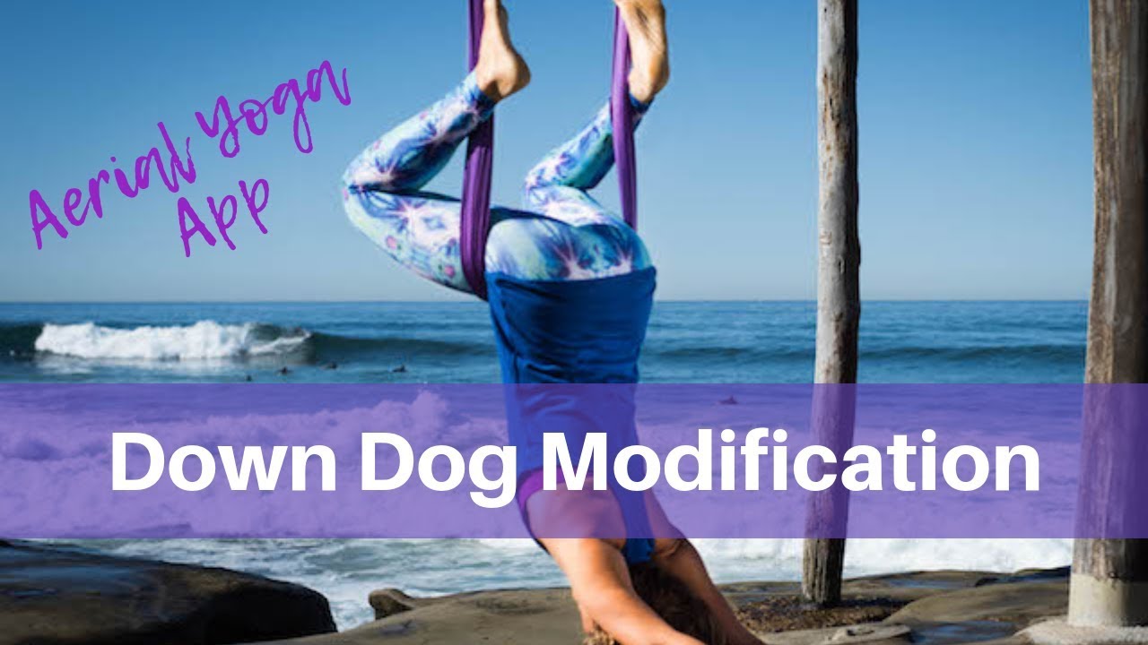 Aerial Yoga Beginner Pose Down Dog Modification Youtube