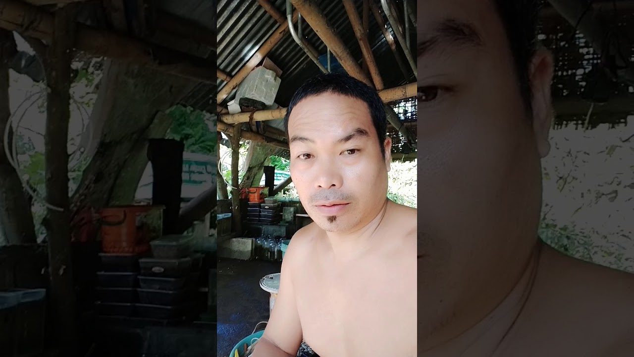 Backyard Breeding Youtube