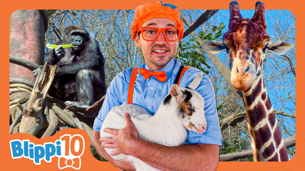 Blippi S Best Animal Episodes Educational Videos For Kids Blippi