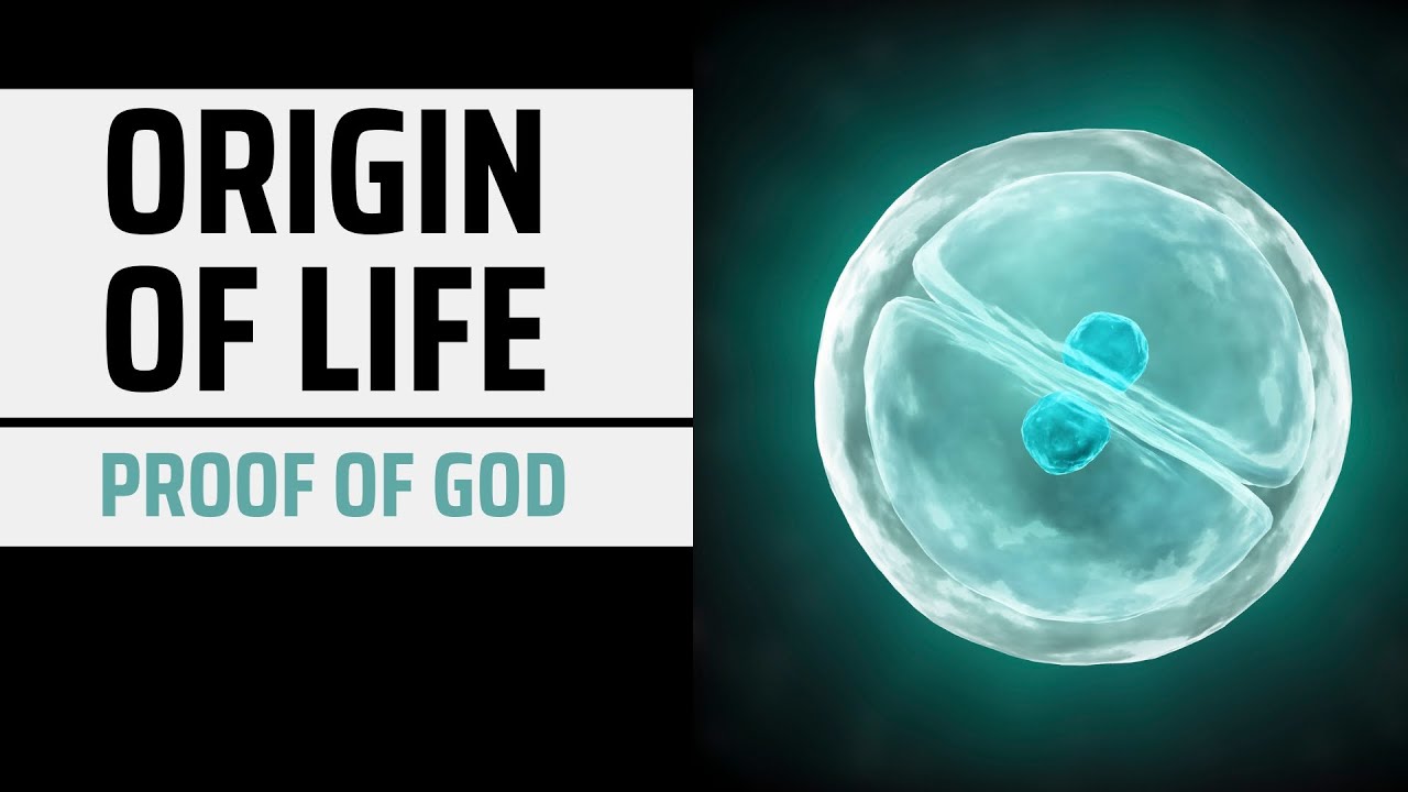 Origin Of Life And How It S Proof That God Exists Youtube
