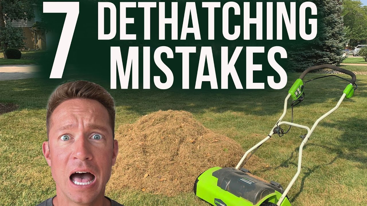 7 Dethatching Mistakes That Could Ruin Your Lawn Youtube