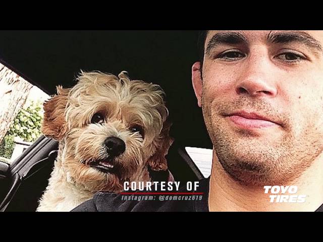 Cody is the only threat to Cruz at the moment | Sherdog Forums | UFC ...