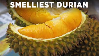 My Friends Try Durian For The First Time Anderson Nguyen Mp3 Music ...