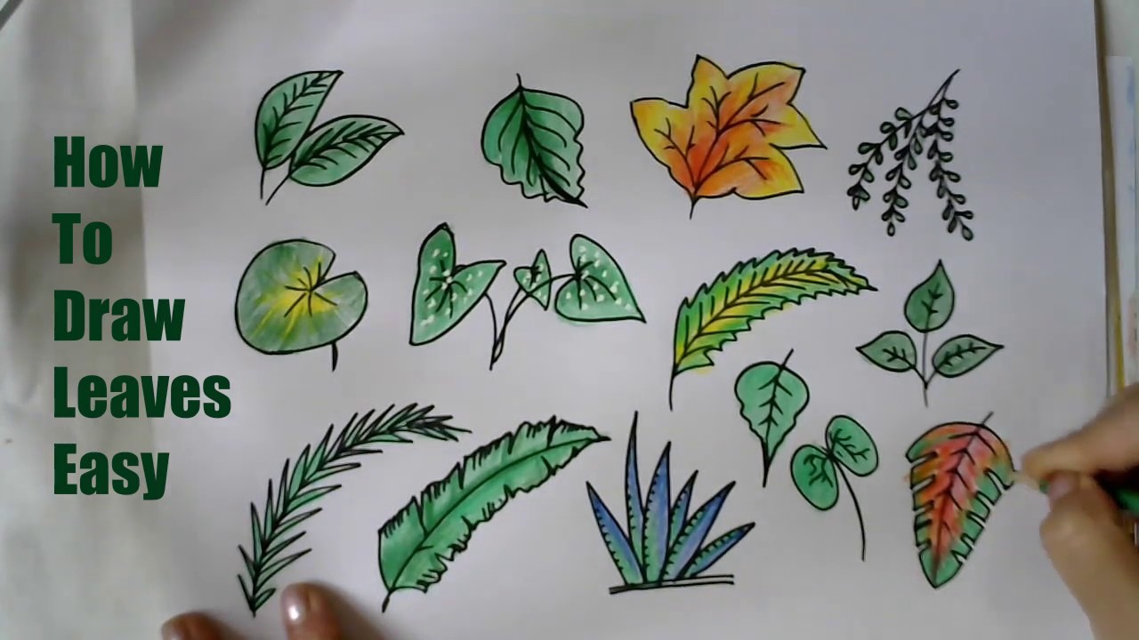 5 Different Types Of Leaves Drawing Design Talk