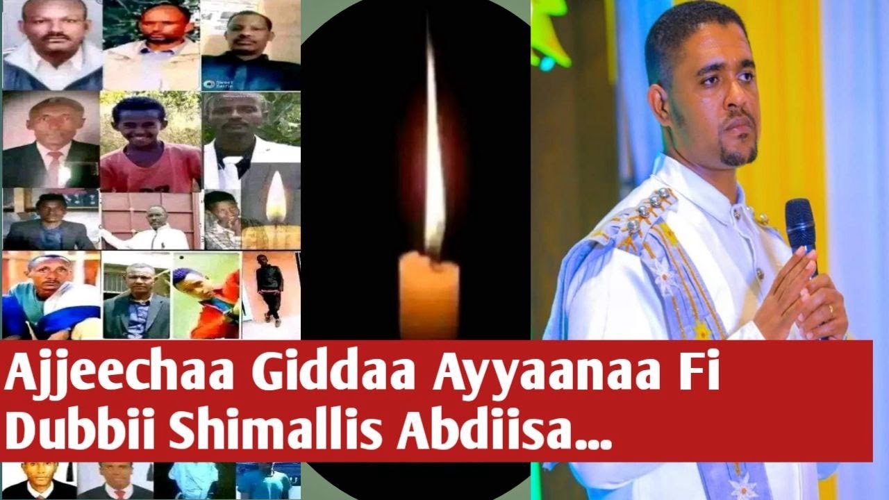 Oduu Fulbaana 15 2023 Youtube