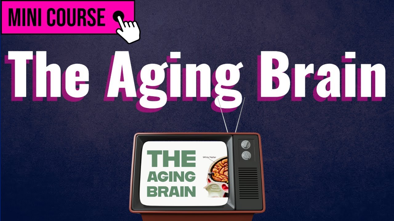 The Aging Brain Youtube