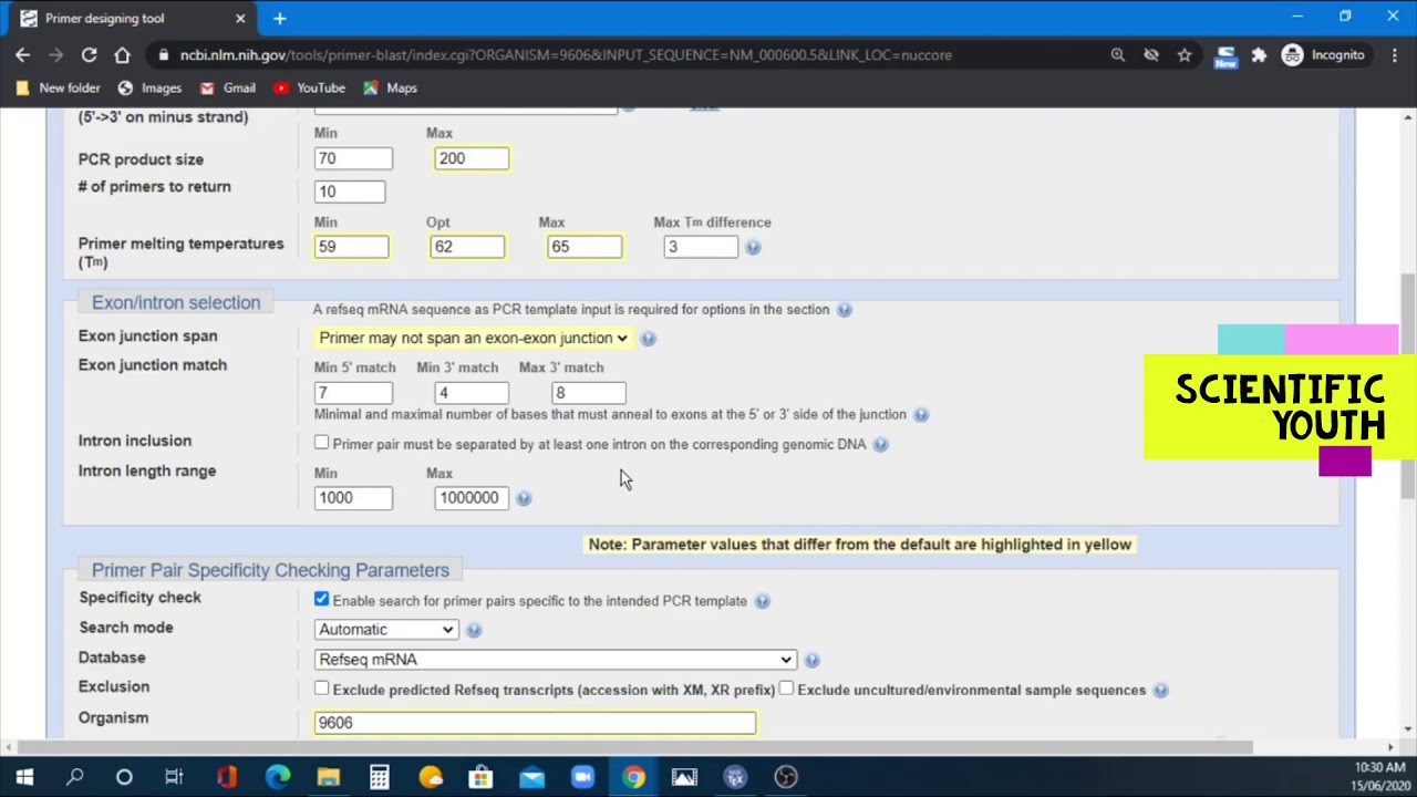Primer Blast Ncbi Tutorial At Murray Baxter Blog