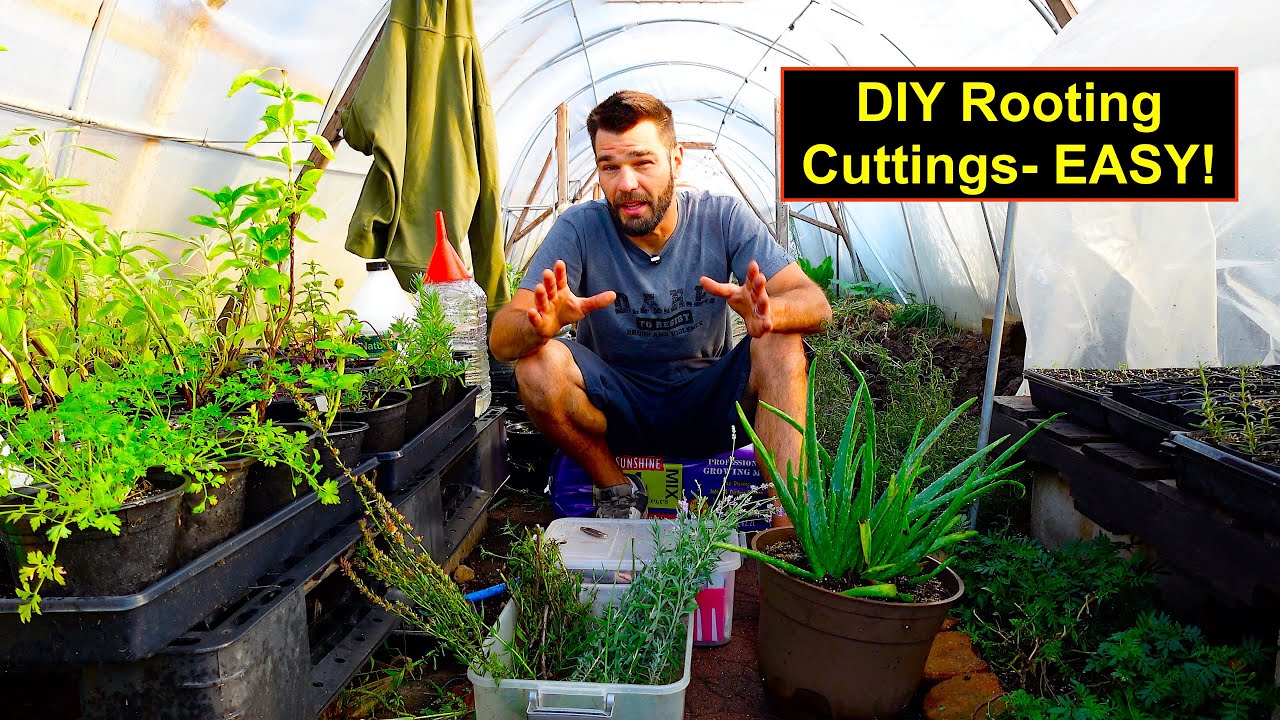 Diy Rooting Cuttings Super Easy All Natural Non Toxic Rooting Compound