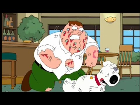 Family Guy Peter Griffin And Brian Fight Over Lois Shorts Funny