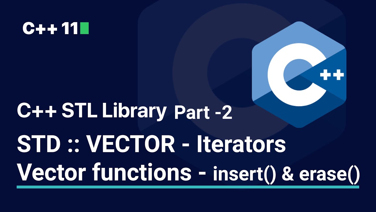 Std Vector C Example