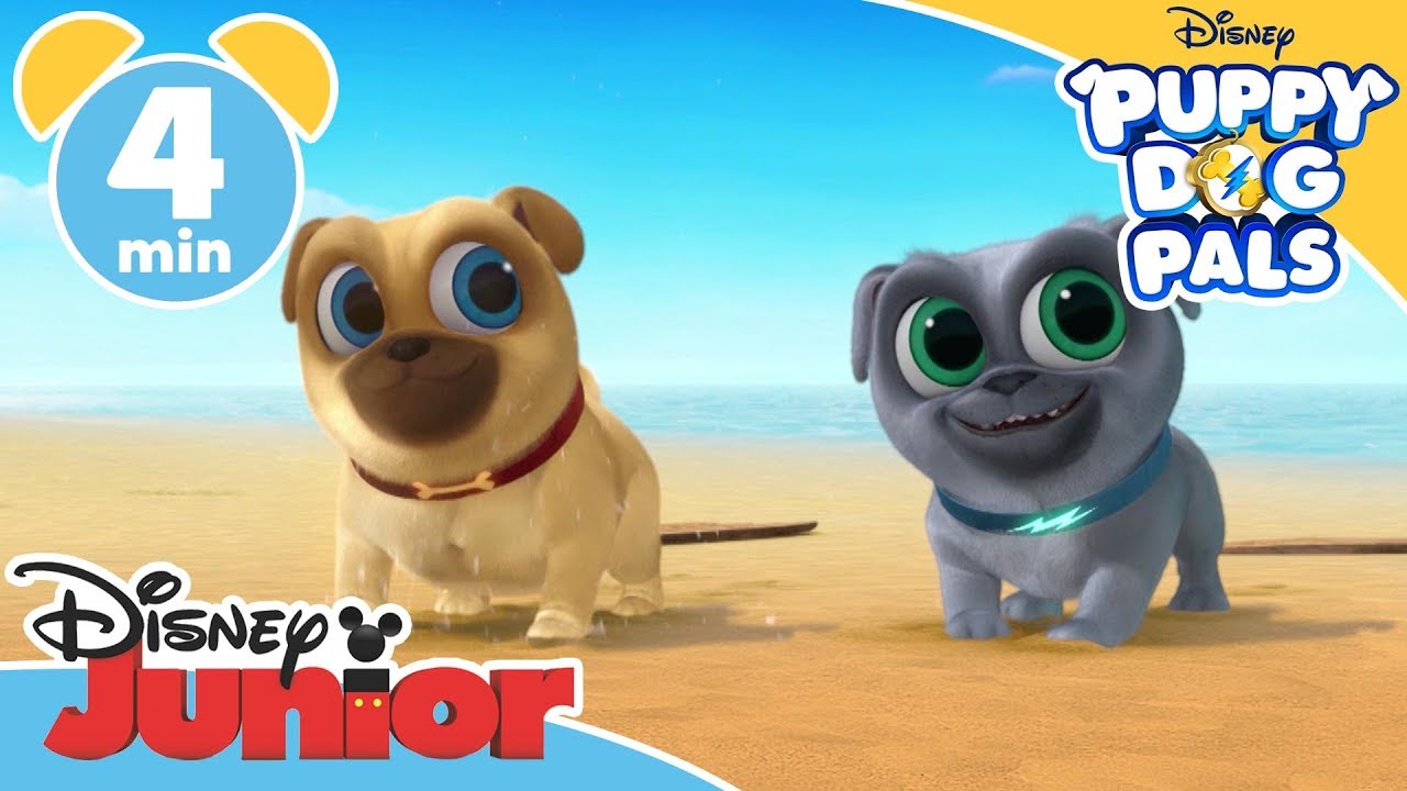 Puppy Dog Pals Top 5 Reasons We Love Bingo And Rolly Disney Kids