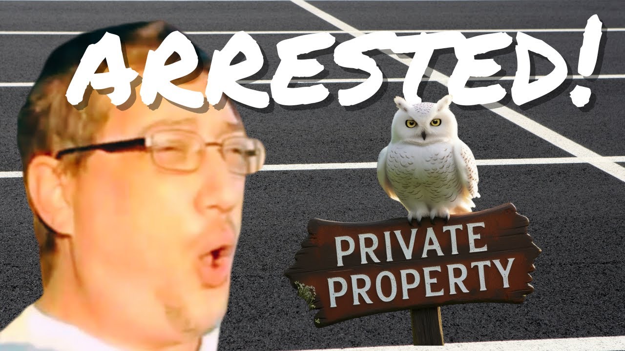 Wannabe Frauditor Arrested Youtube