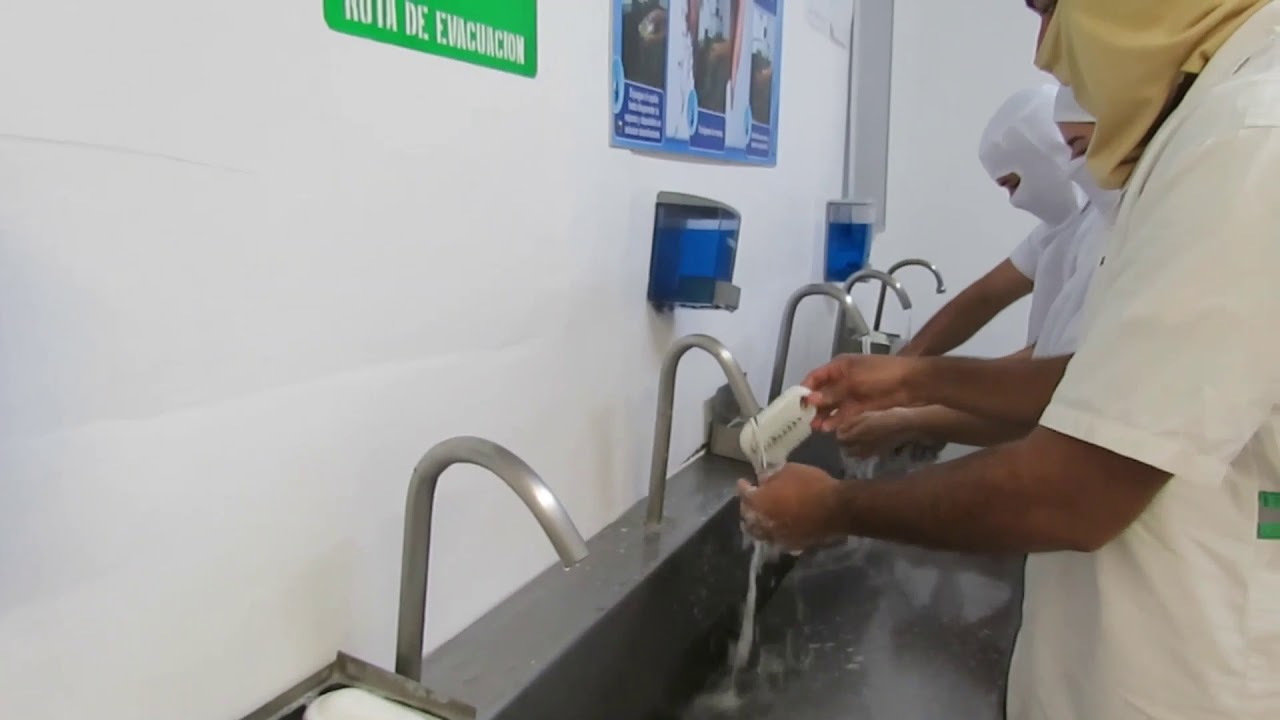 Lavado De Manos Youtube