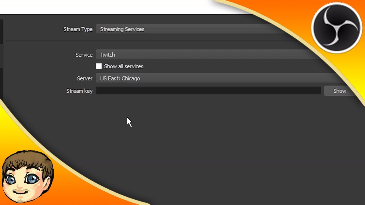 Twitch Obs Studio Bosbikini