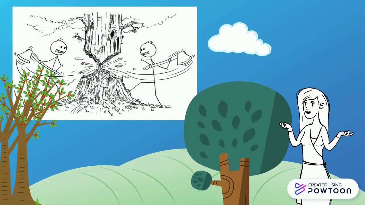 Why Learn Timber Youtube