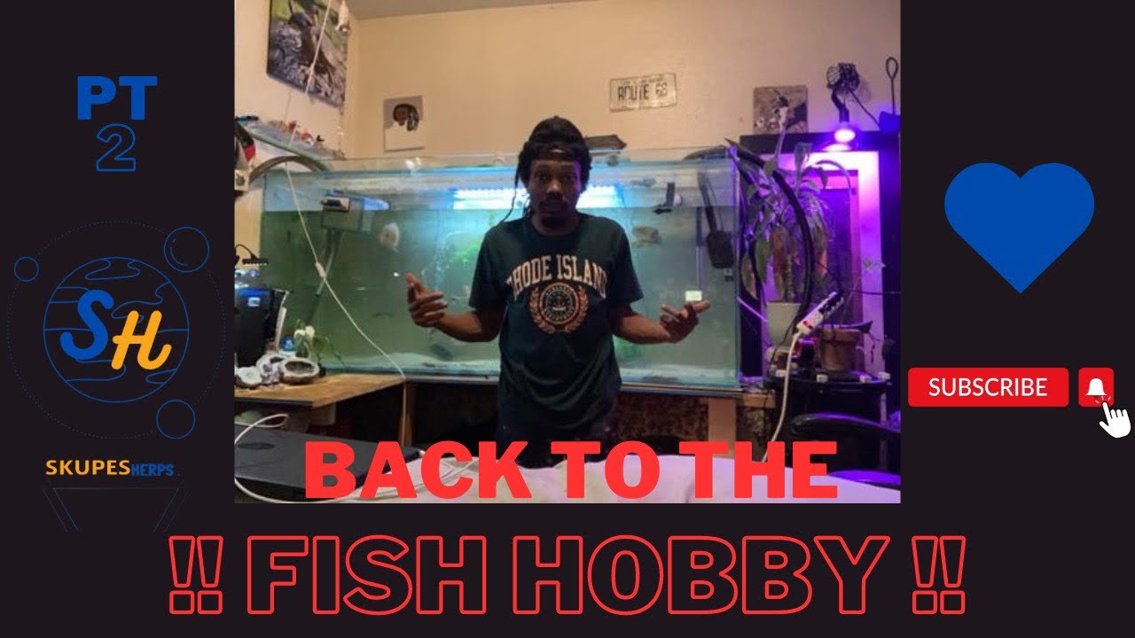 Monster Fish Update Youtube