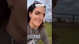 Oh Look A Dandelion Must Be The Last One Of The Season Original Video