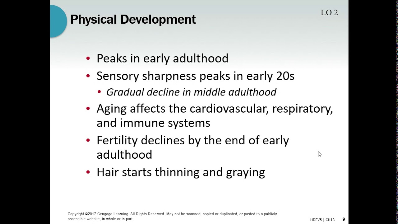 Early Adulthood Physical Development