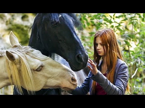 Ostwind 2 Trailer Filmclips Hd Youtube