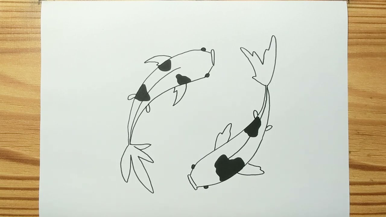 Koi Fish Drawing Step By Step