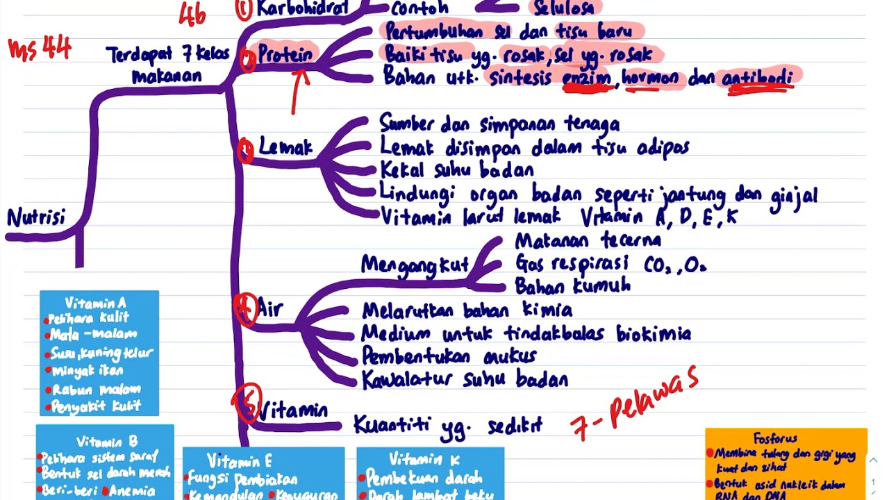 Sains Pt3 T2 Bab 3 Nutrisi Youtube