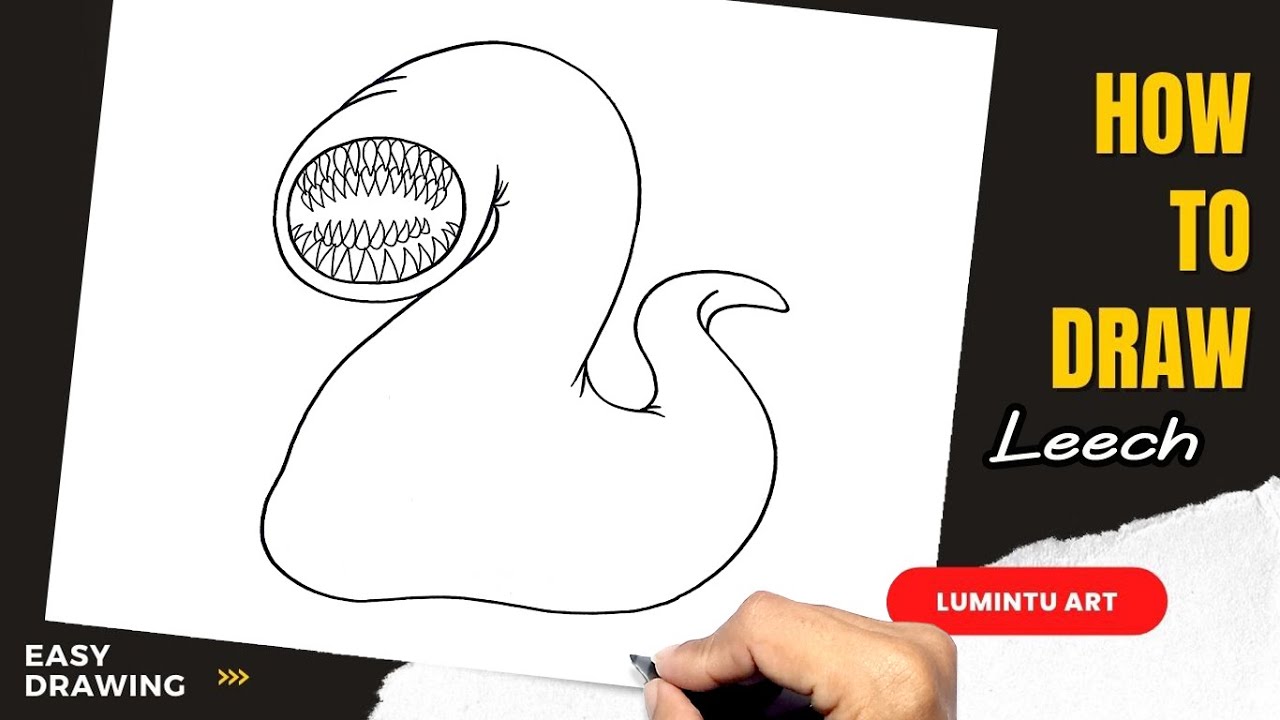 Leech Drawing