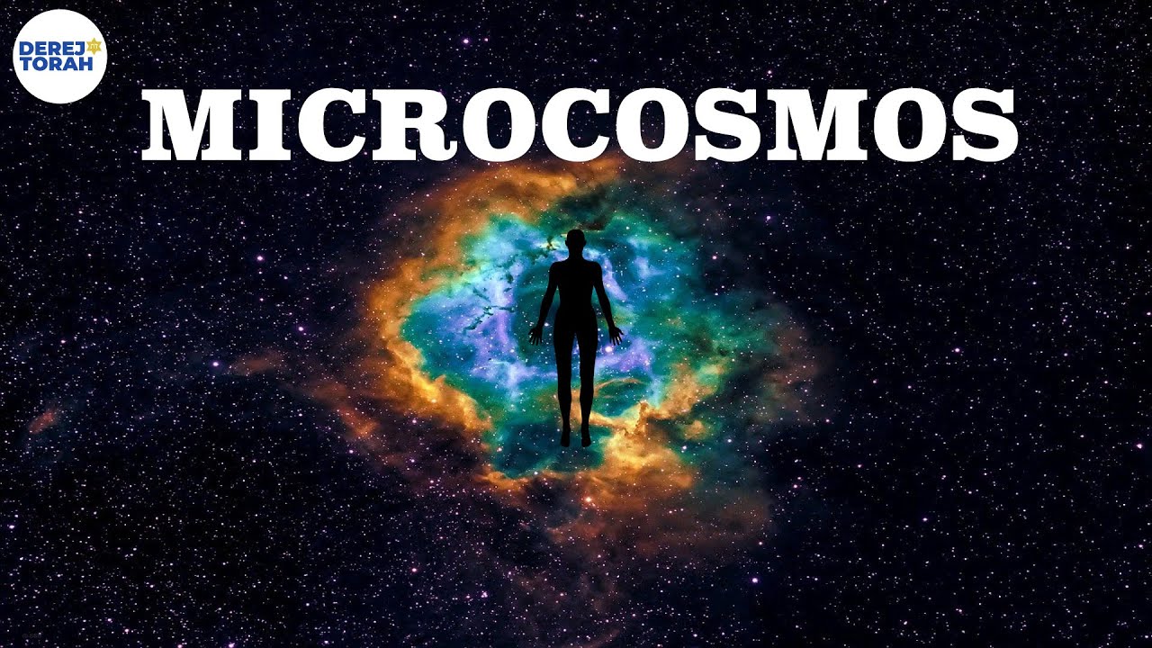 ёякрmicrocosmosёякрun Ser Humano Es Una Versi N En Miniatura Del Universoтшэя п