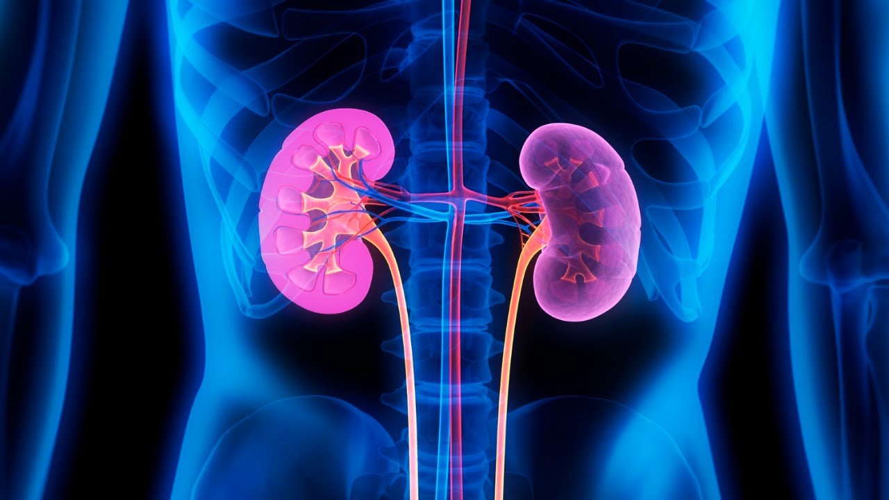 5 New Mind Blowing Discoveries In The World Go It