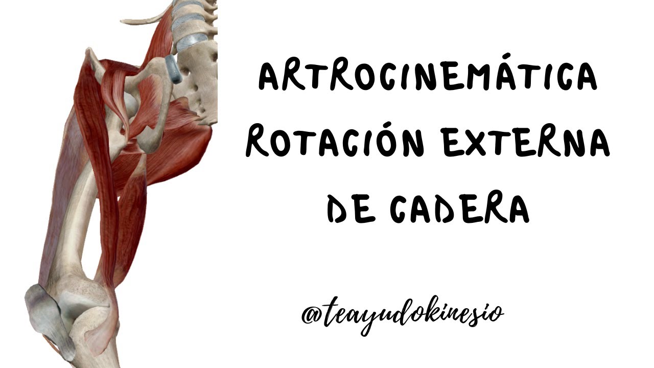 Artrocinematica De Rotacion Externa Cadera Youtube