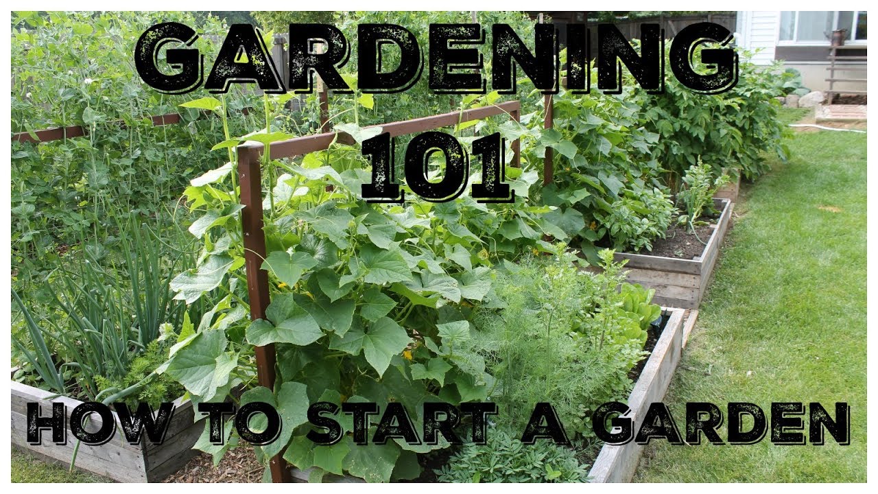 Glory Tips About How To Start A Garden From Scratch Policebaby25