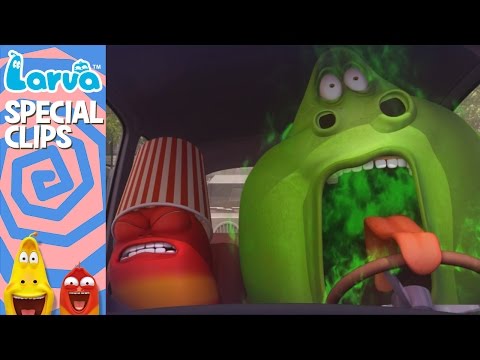 Larva The Larva Girls Cartoon Full Movie Cartoons For Children