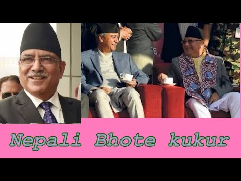 Nepali Bhote Kukur Haru Sabin Phuyal Youtube Channel Subscribe Support