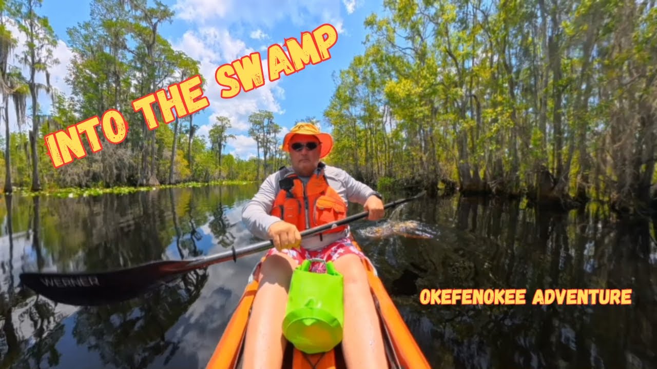 Kayaking The Okefenokee Swamp Alligators Wildflowers Reflections